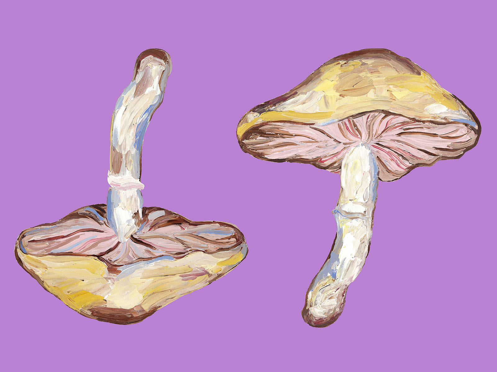 UO Interviews: Alice Straker | UO Culture