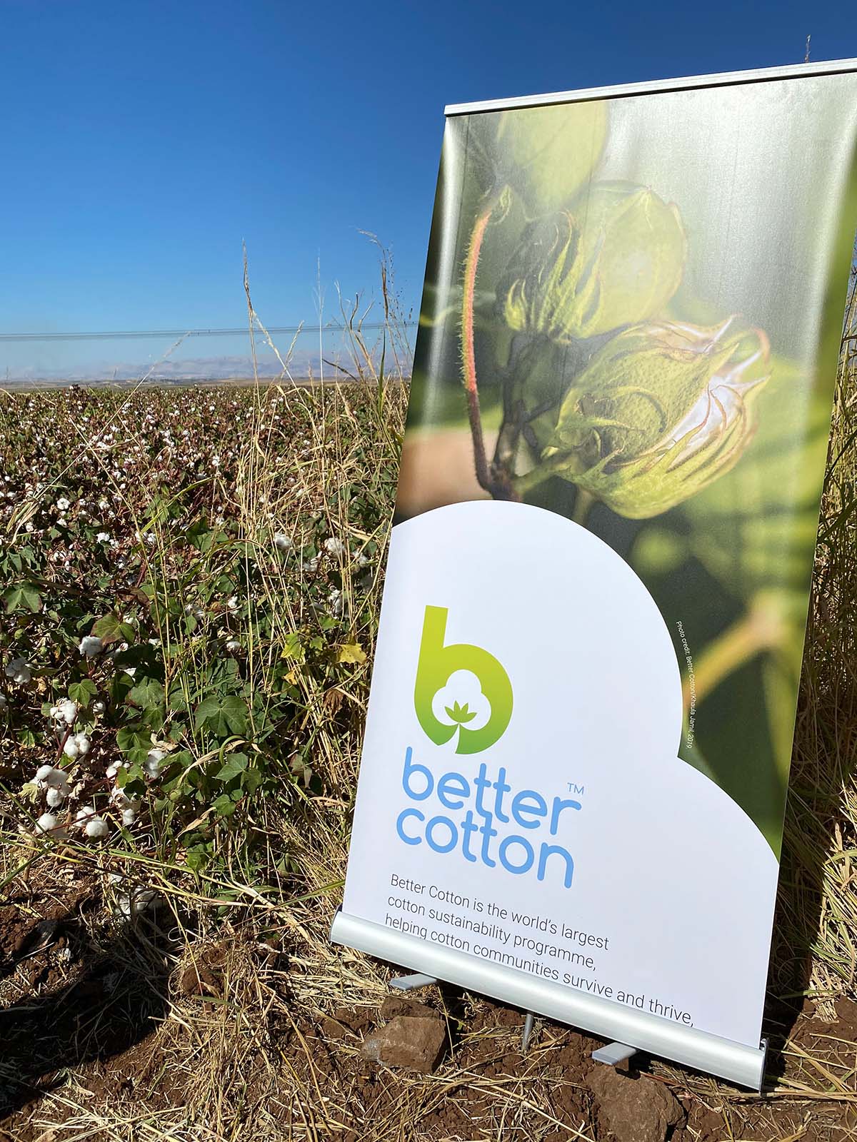 Better Cotton: Farm to Thread | UO Culture