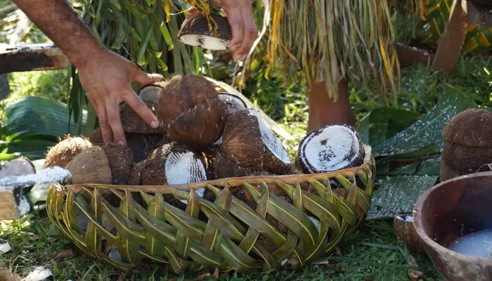 Topic Explorer - The Dawn Raids | Services to Schools