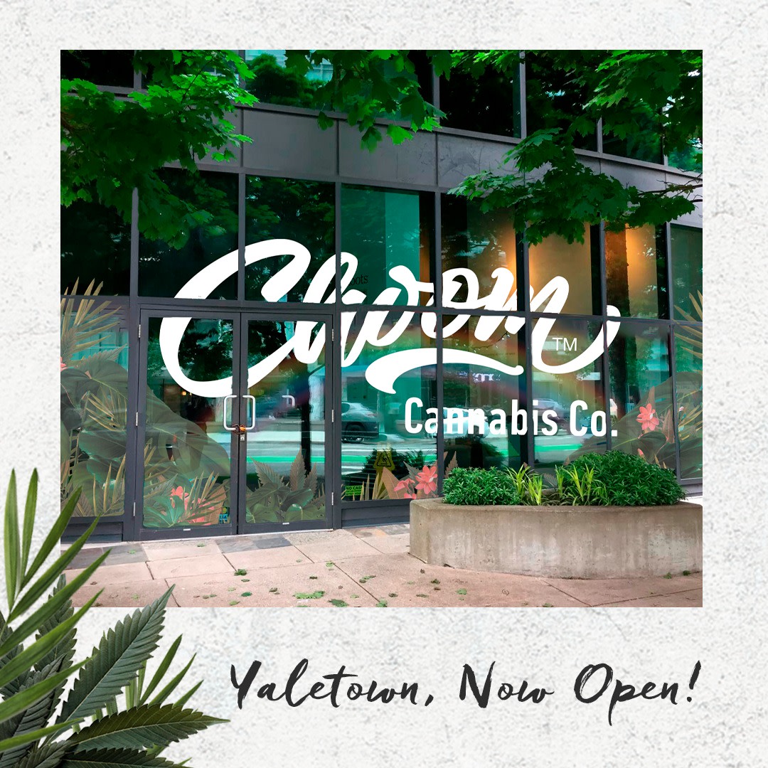 Choom Holdings Inc. (CHOOF) Stock Message Board - InvestorsHub