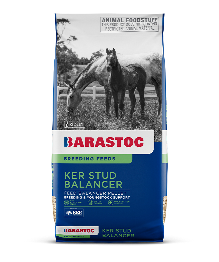 Barastoc | KER Stud Balancer