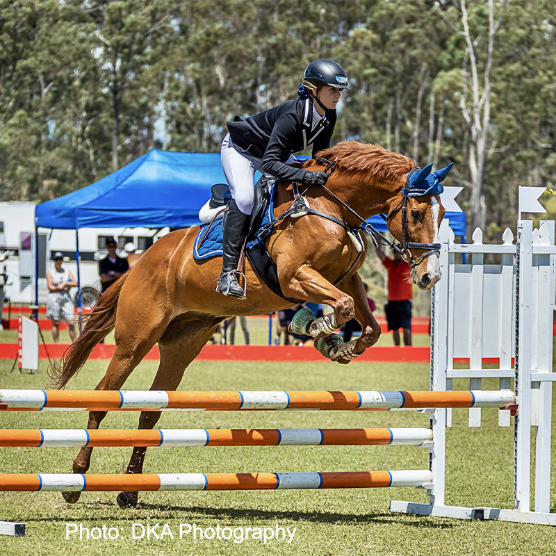 Barastoc | Stella Baigrie