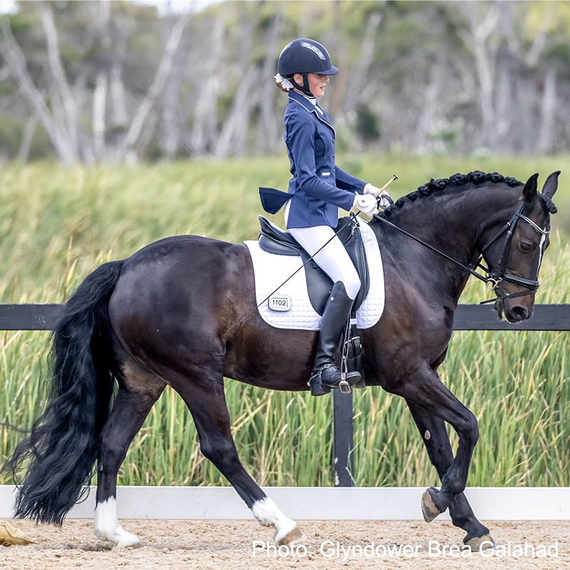 Barastoc | Caitlin Griffiths