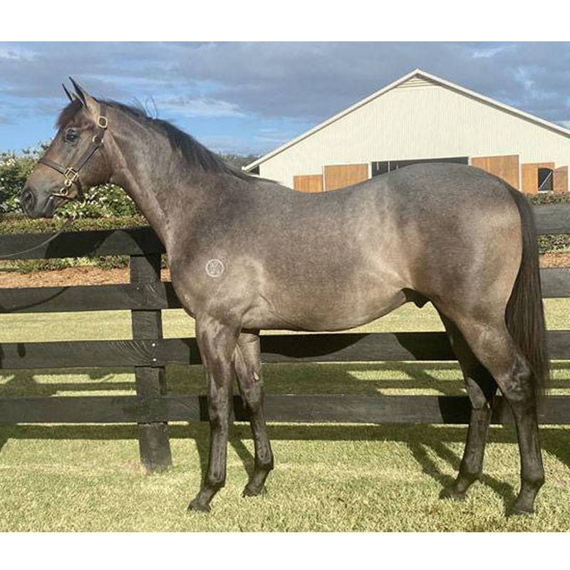 Barastoc | Brooke Langbecker