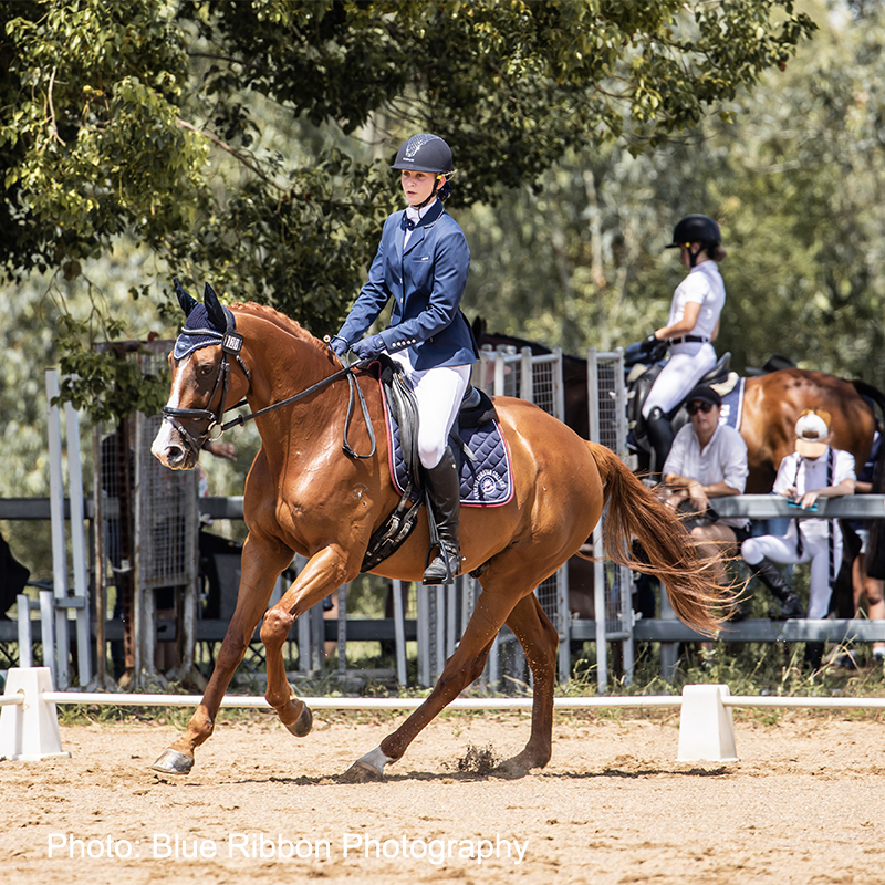 Barastoc | Stella Baigrie