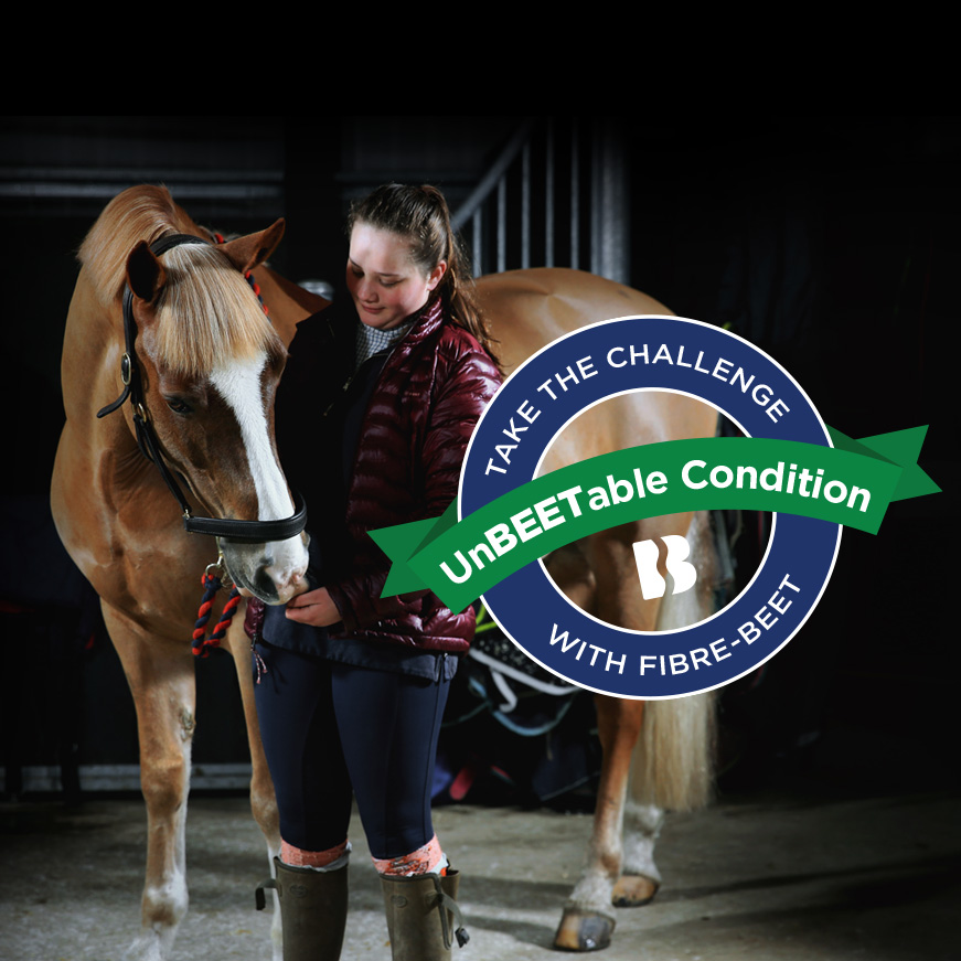 Barastoc | UnBEETable Challenge