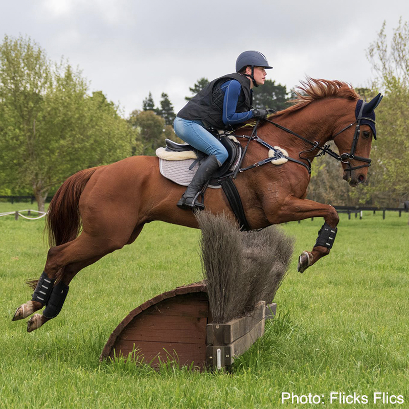 Barastoc | Louisa Toose