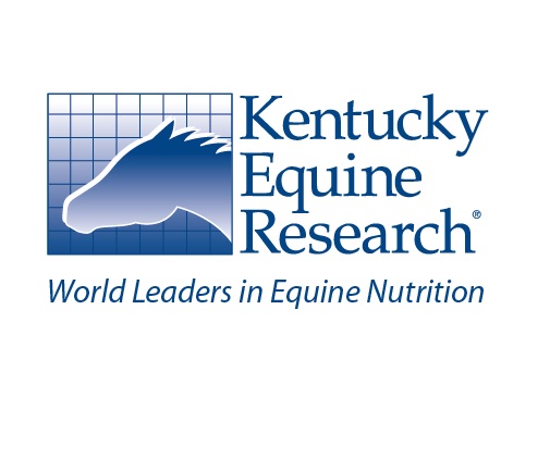 Barastoc | Senior horses