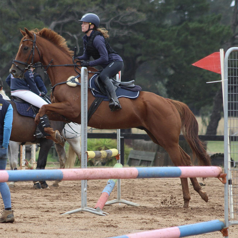 Barastoc | Louisa Toose