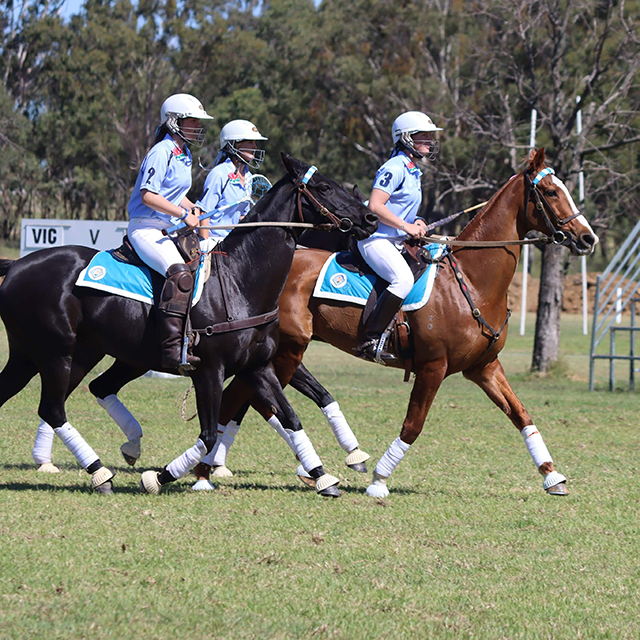 Barastoc | Emily Wamsley