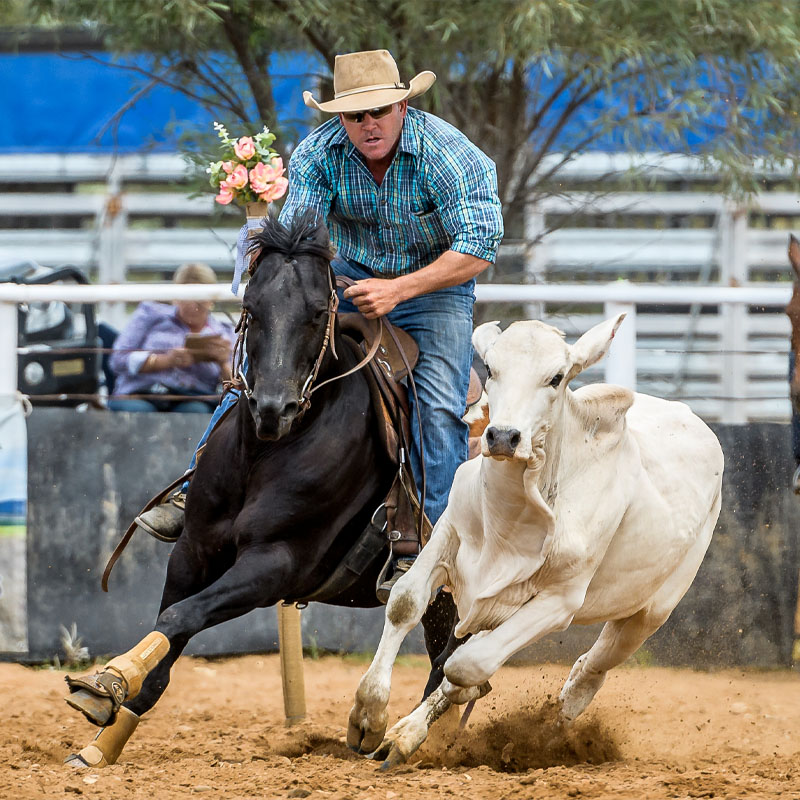 Barastoc | Erica Hanrahan