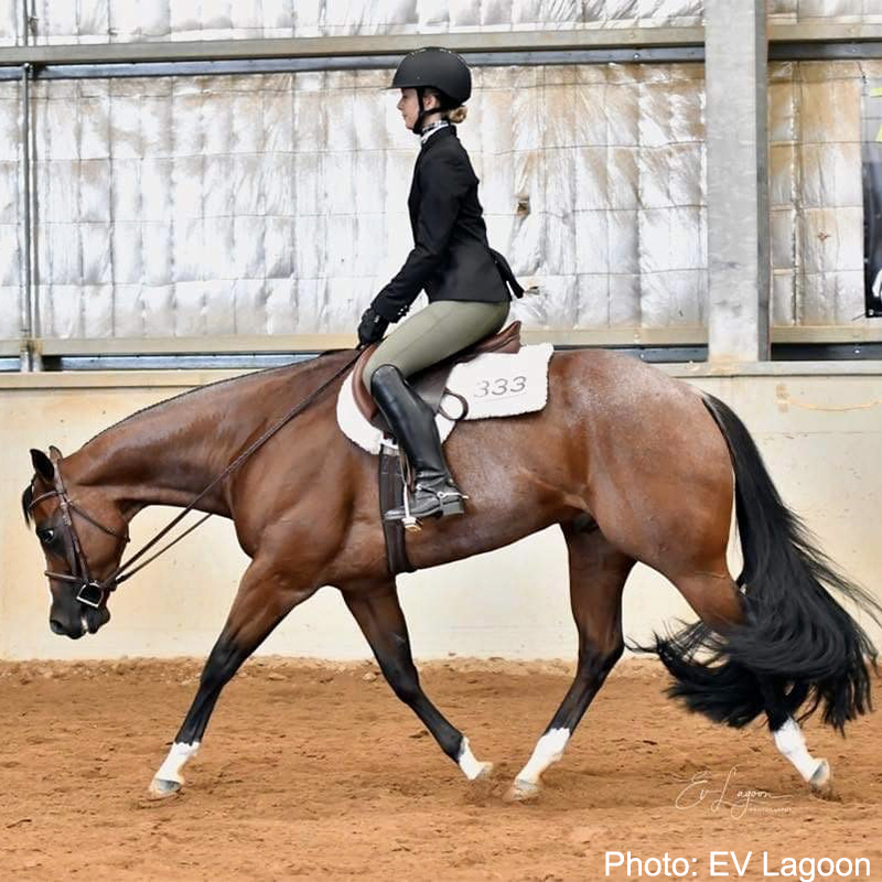 Barastoc | Alyssa Dinnage