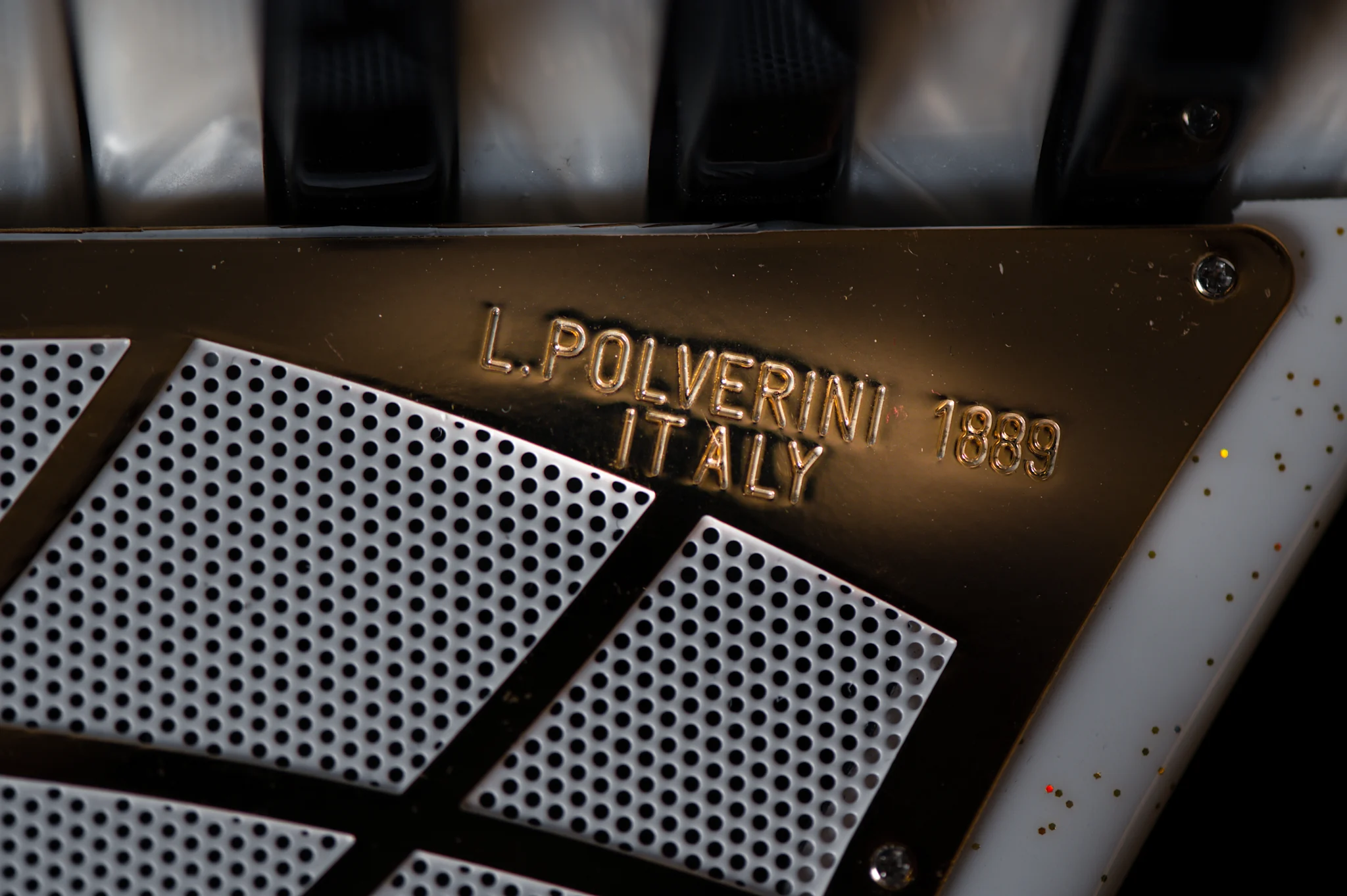 Polverini Accordions