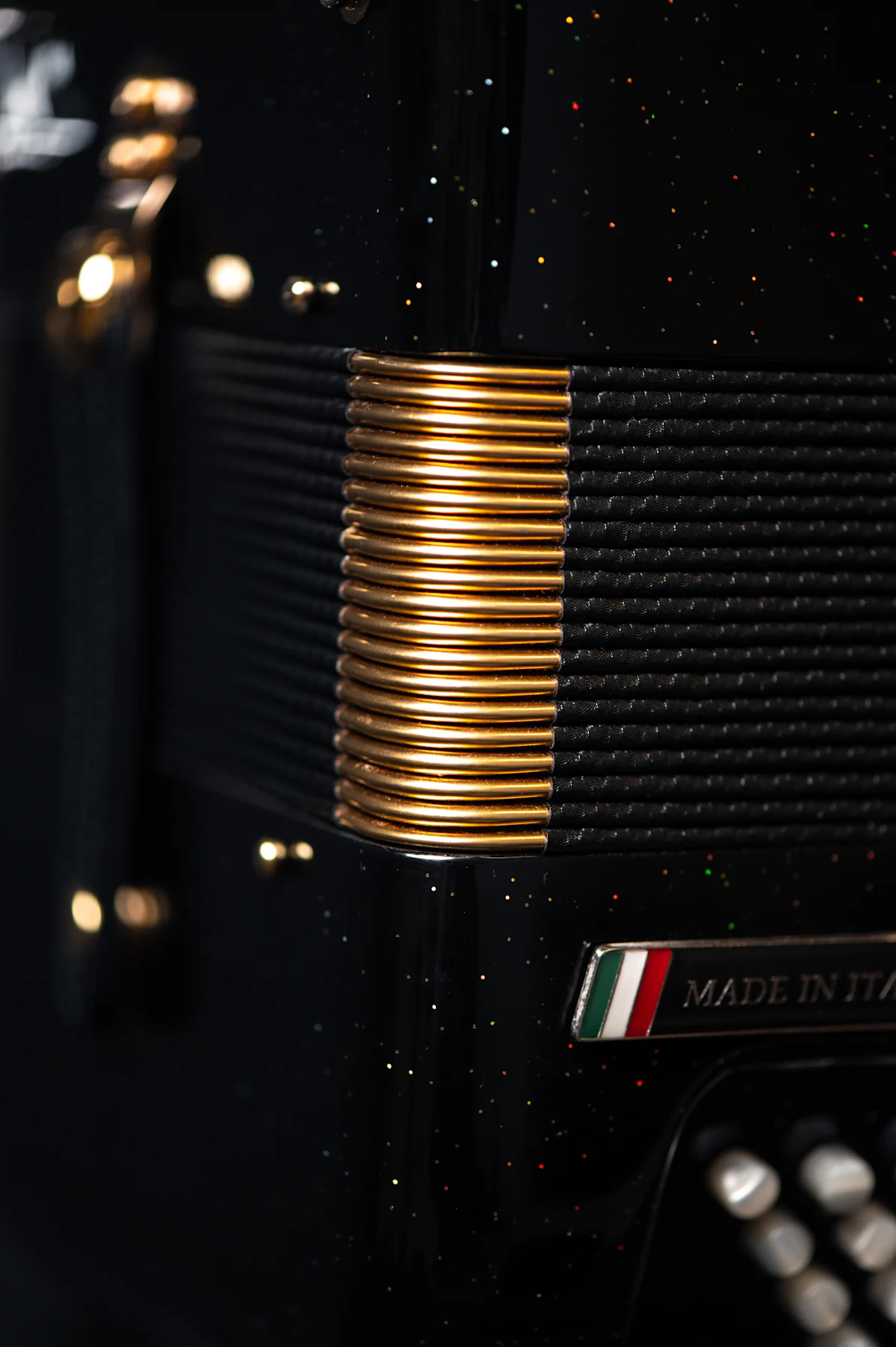 Polverini Accordions