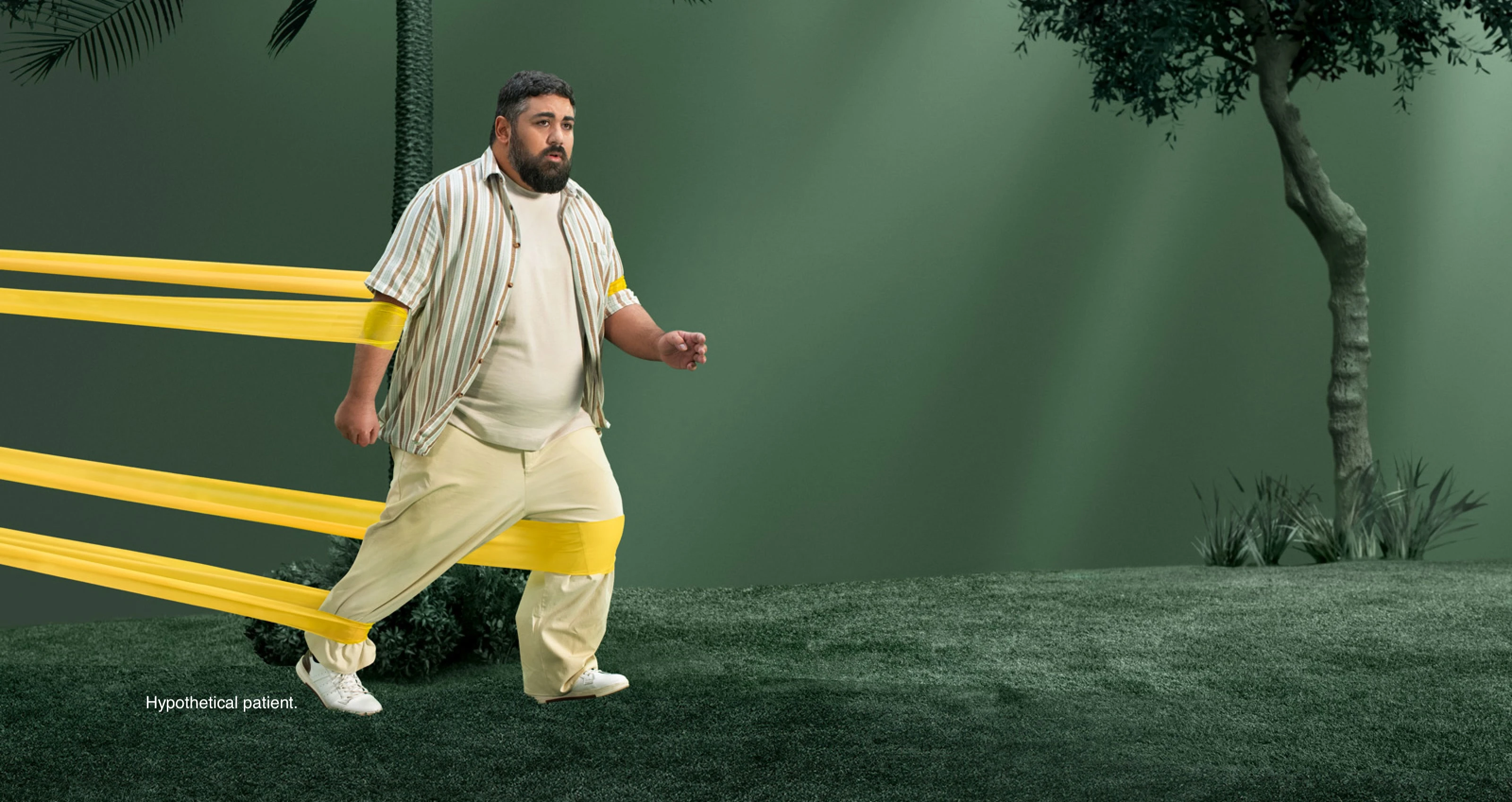 Understanding Obesity