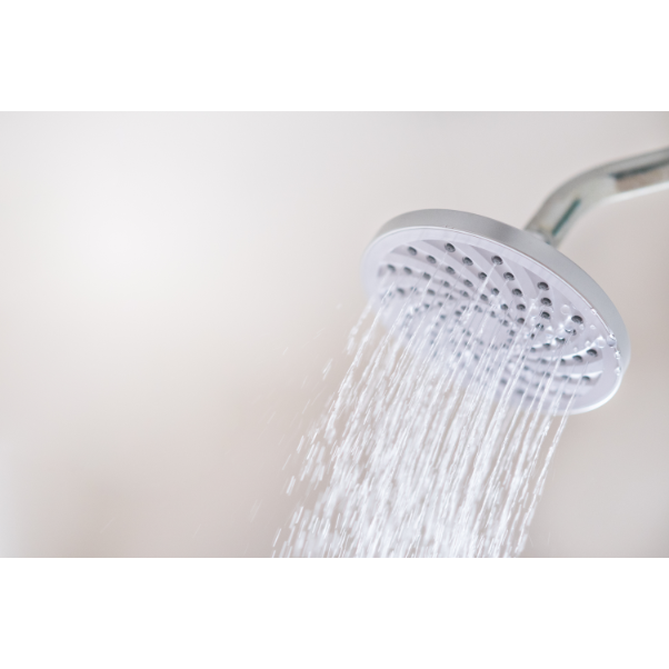 Best iflo Fixed Shower Heads | City Plumbing