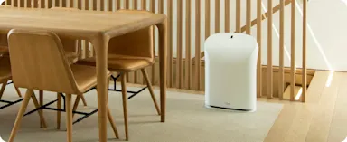 Rabbit Air Reviews (2025): Is It the Best Air Purifier?