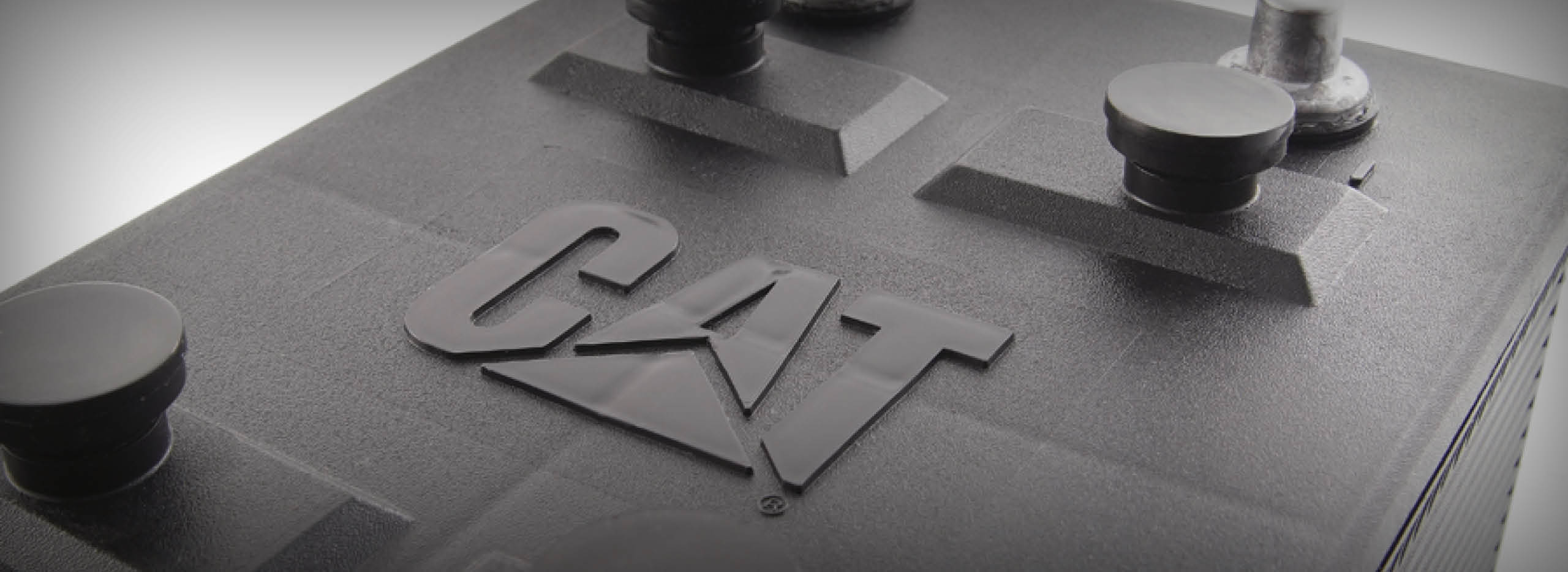 Parts: Cat Batteries