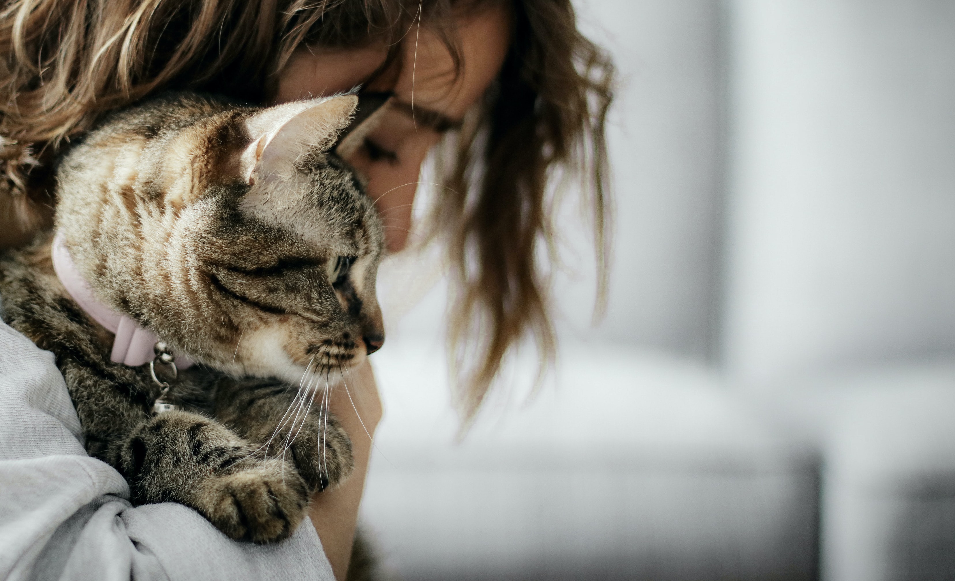 Do Cats Know When You're Sad? 🐈The Fascinating Empathy of Cats