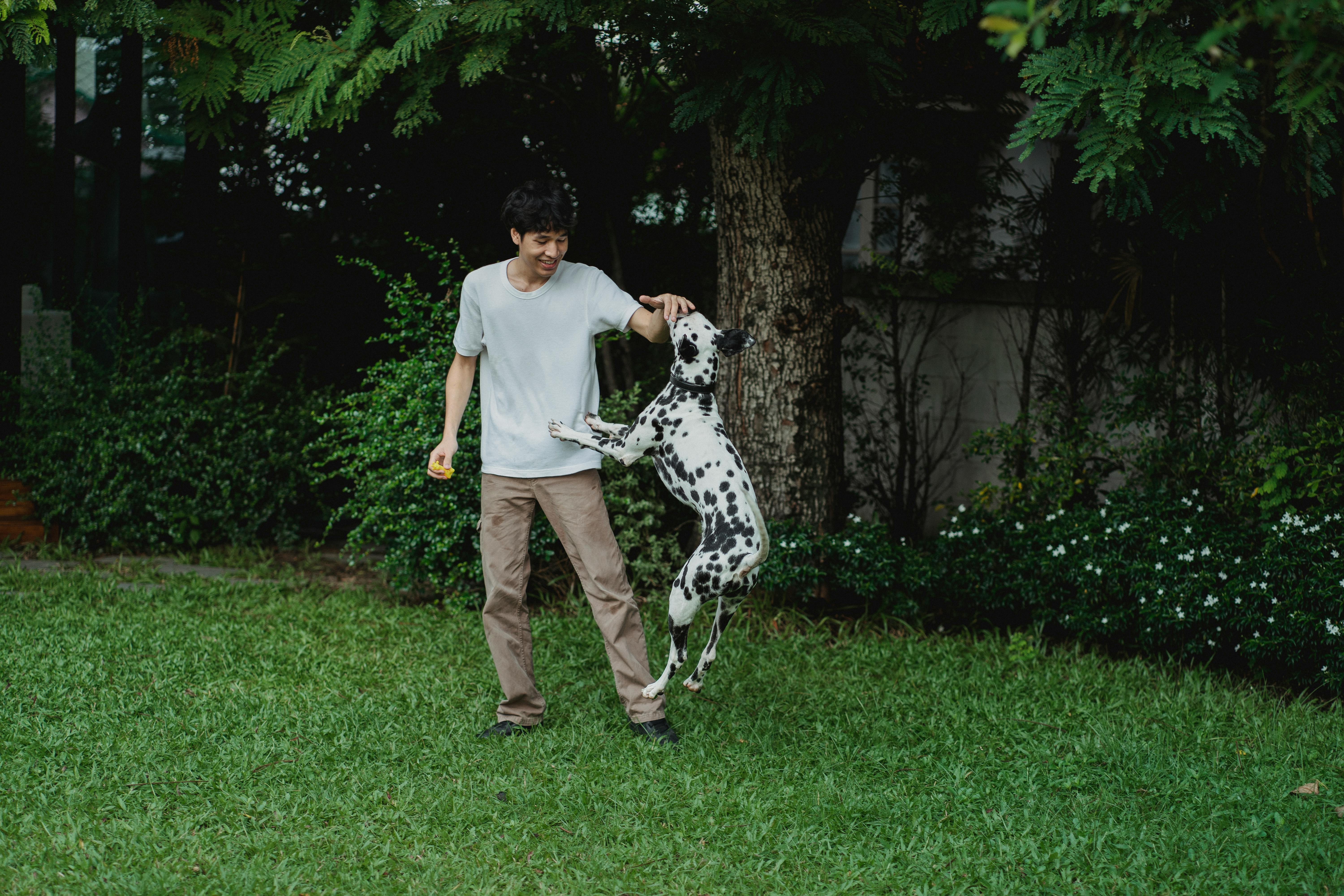 How to Stop a Dog from Jumping: Effective Training Tips