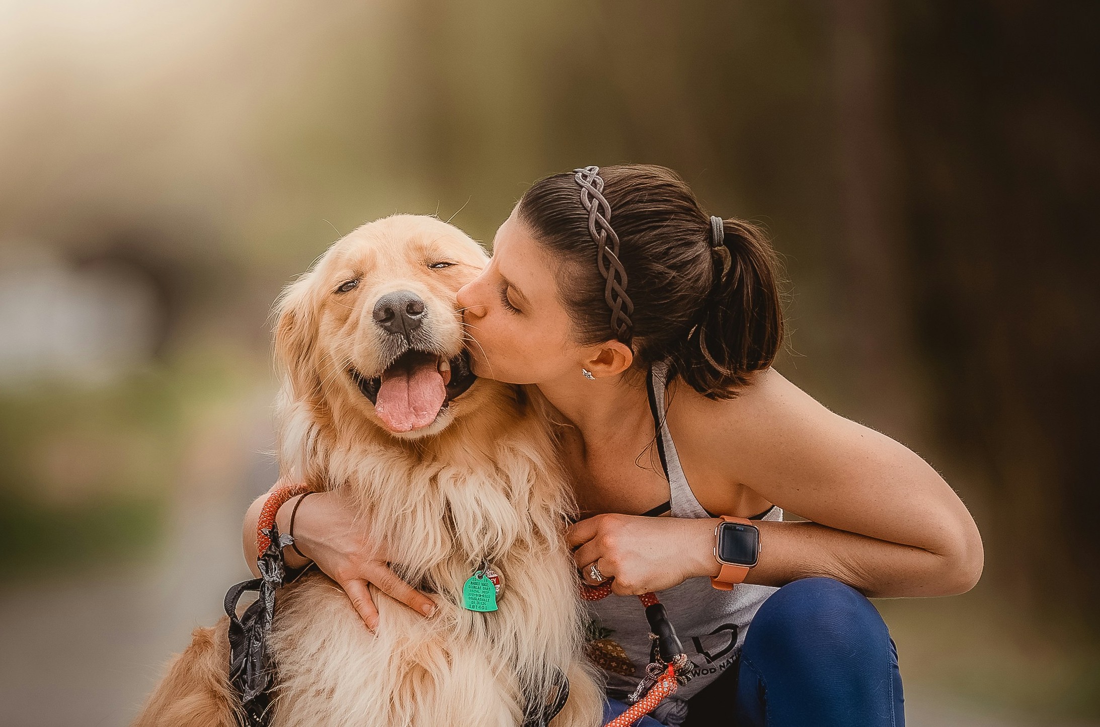 Are Golden Retrievers Easy to Train? Tips and Challenges Explained