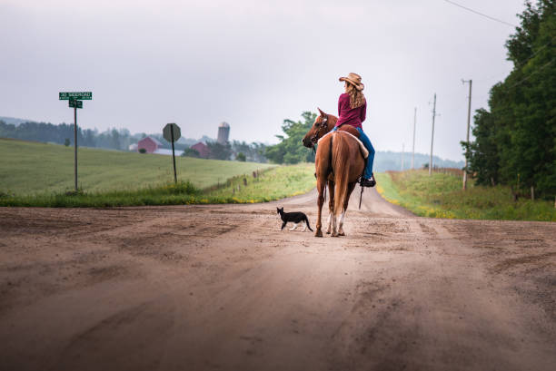 Why Does My Cat Follow Me Everywhere? | Understanding Feline Attachment