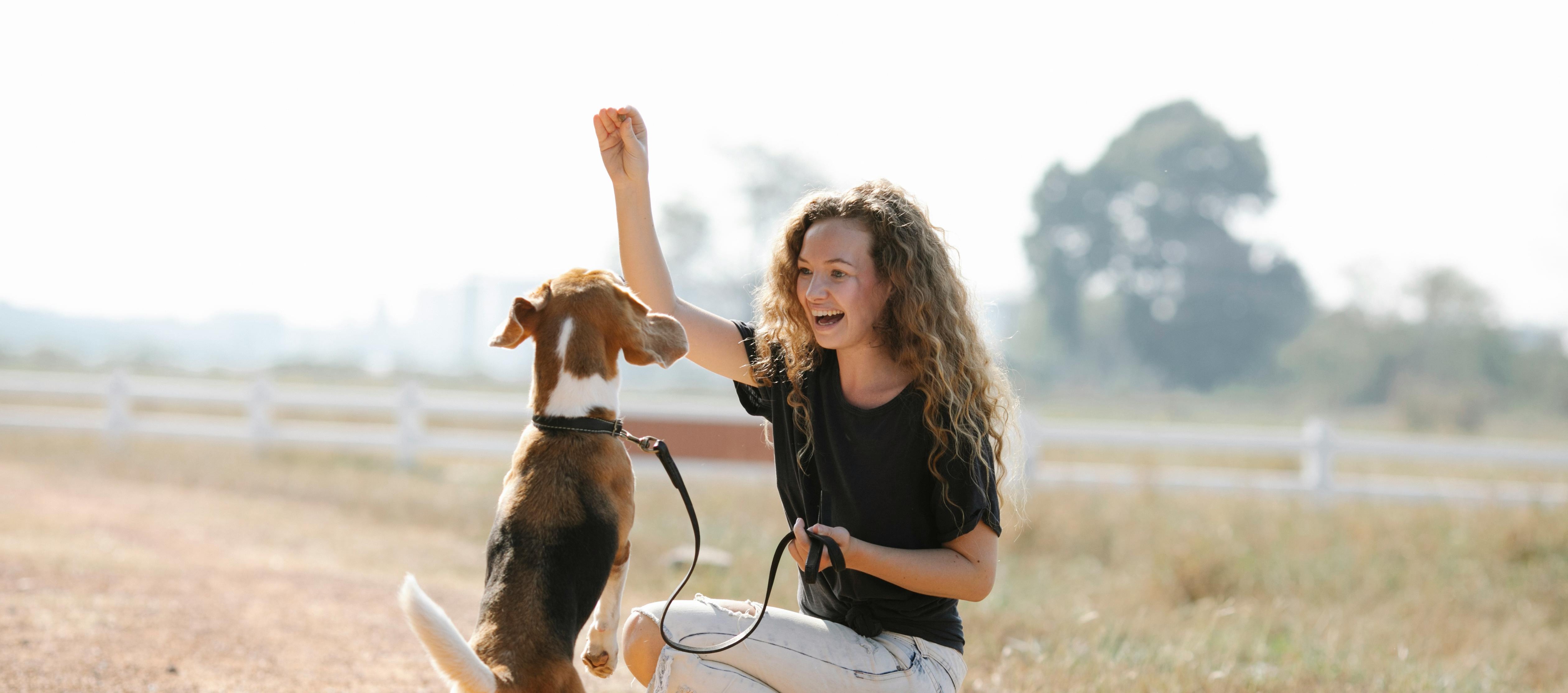Top 12 Essential Dog Tricks Every Owner Should Teach