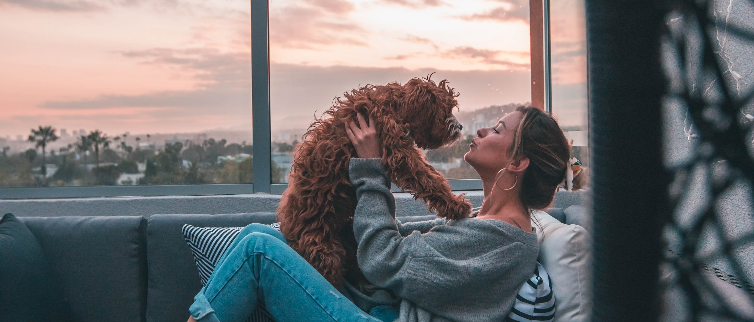 Your Questions About Dog Breed Genetics Answered - Basepaws