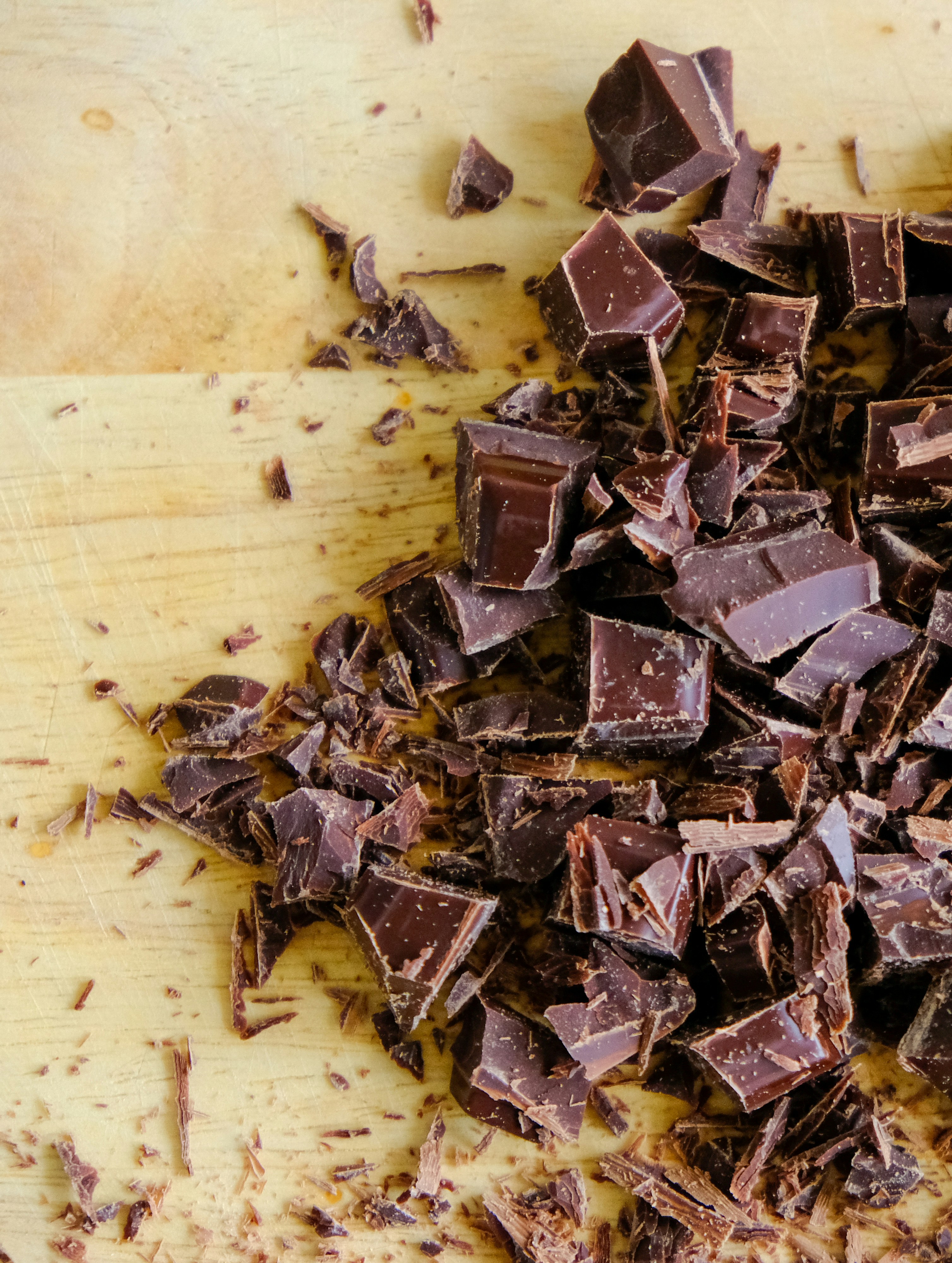 Is Chocolate Bad for Cats?