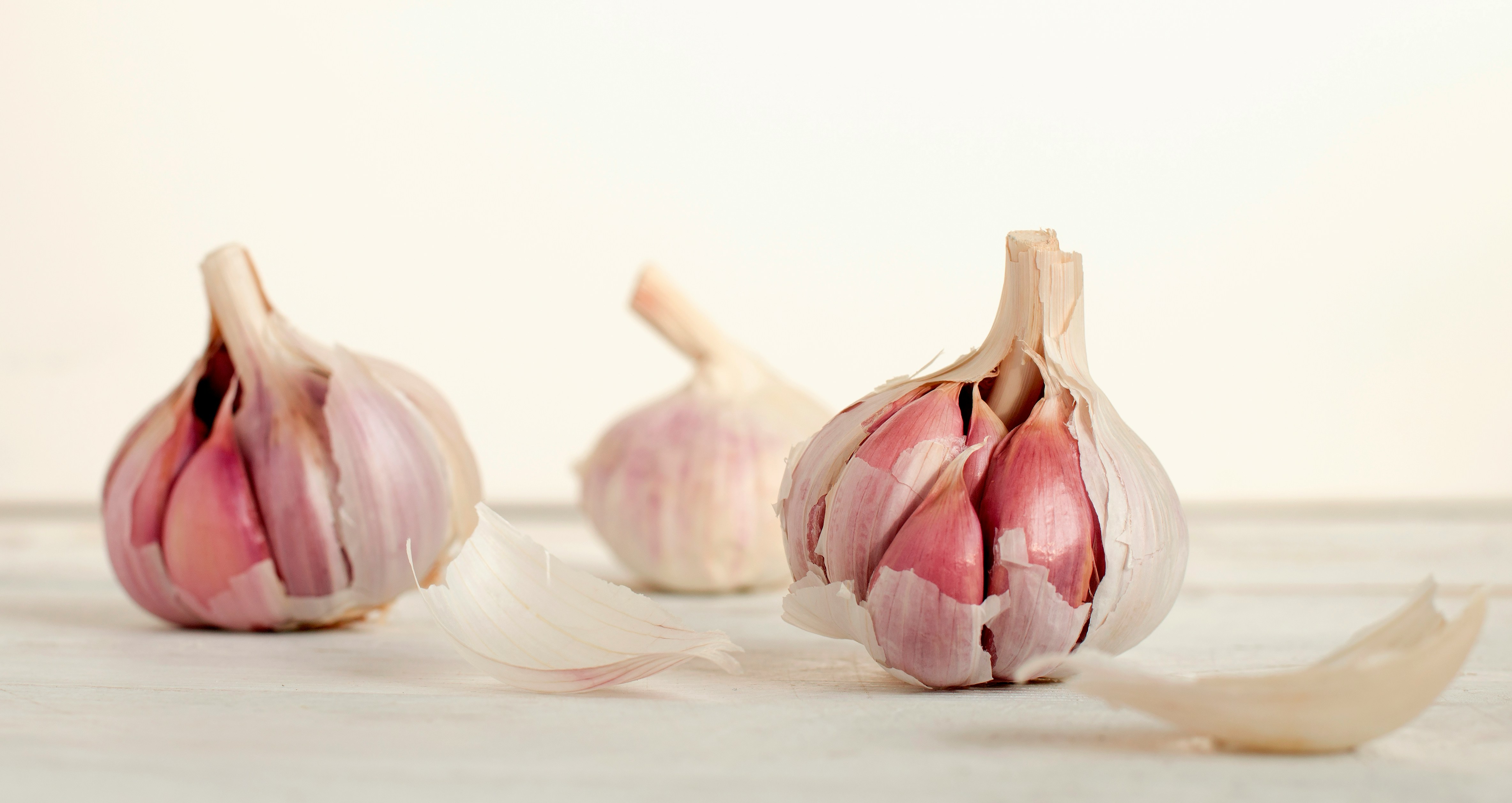 Can Cats Eat Garlic? Risks, Symptoms, and Safe Alternatives