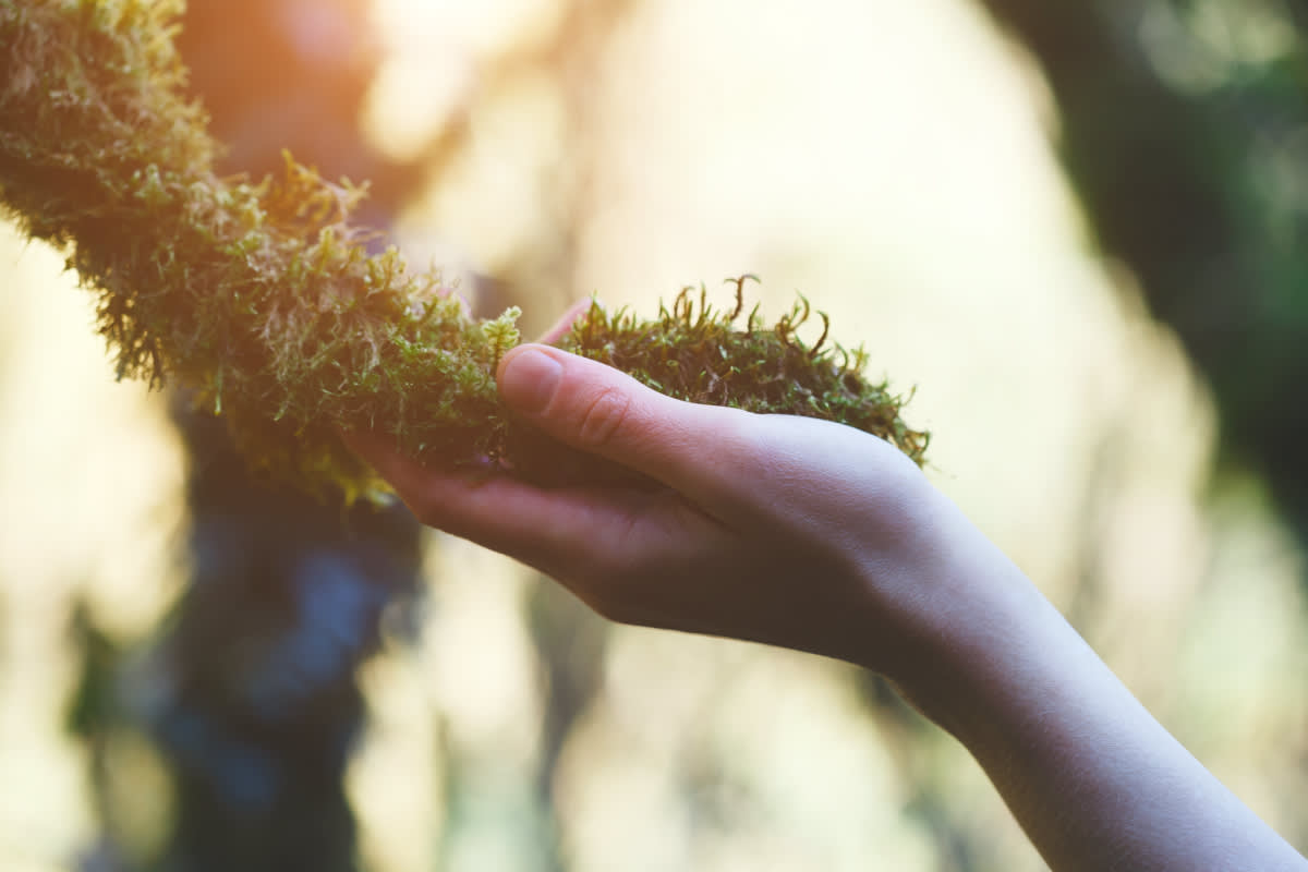 Everything is Connected: The Relationship Between Body and Planet | Viome