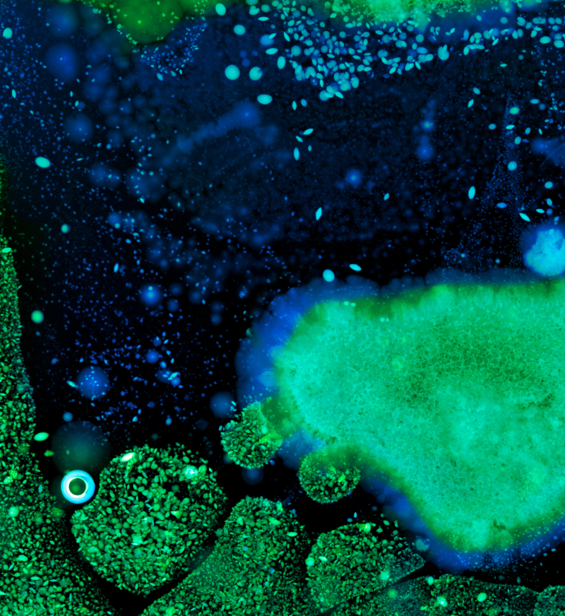 True Med Info Page | Viome