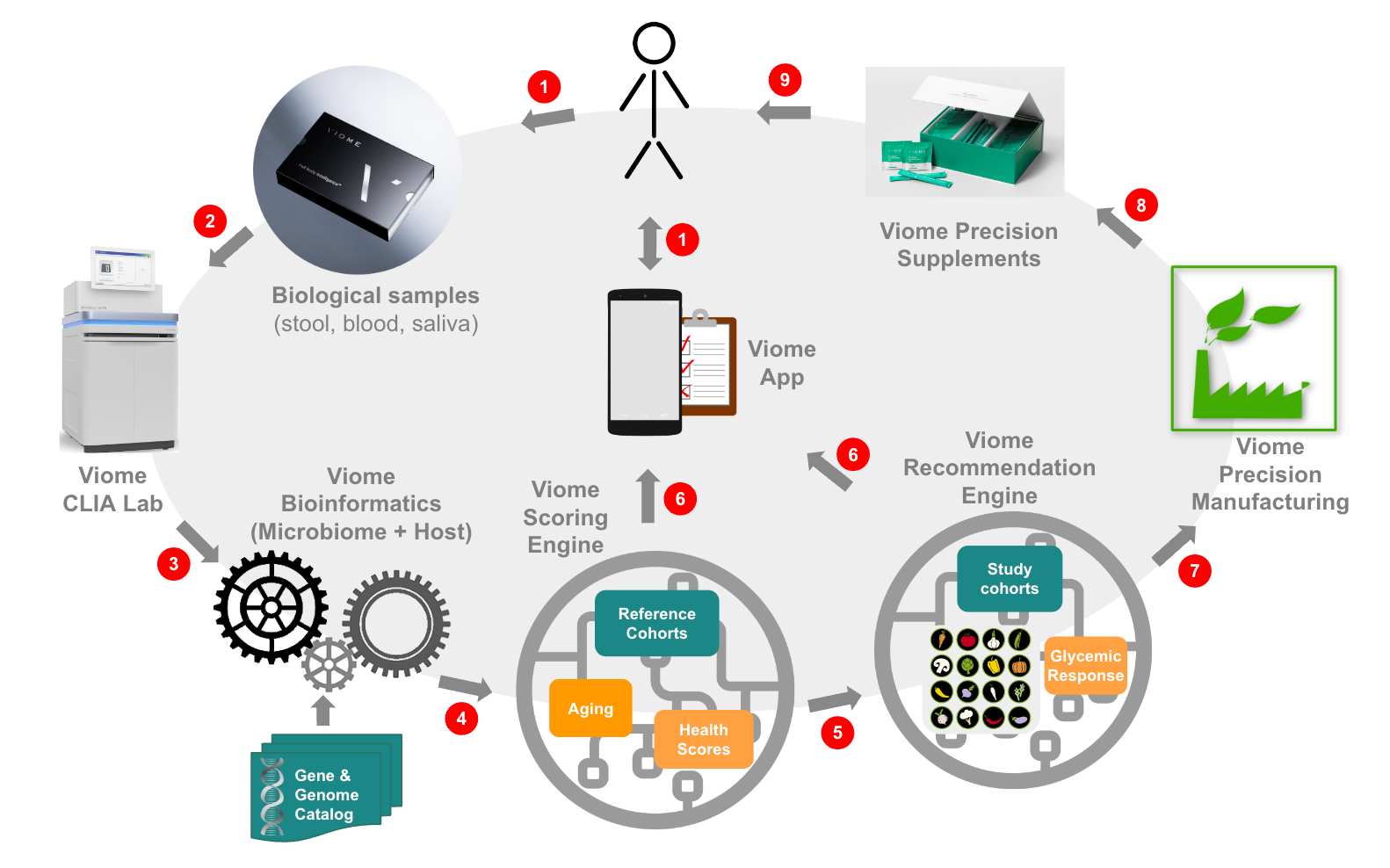 The journey of your sample: how your biological data turns into your ...