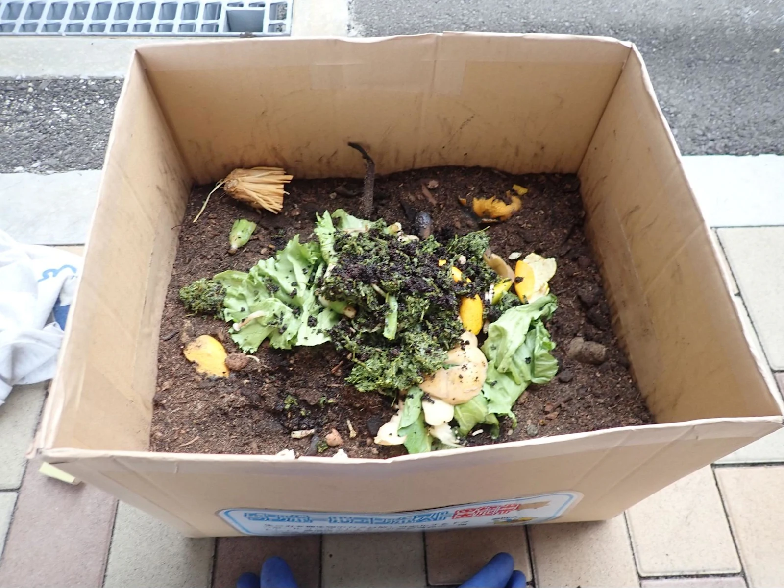 コンポスト | 『Bipass』（バイパス）