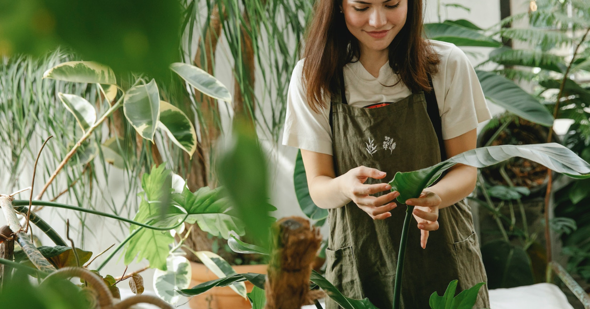 Grow Your Business with Alternative Lenders: 5 Effective Ways to ...