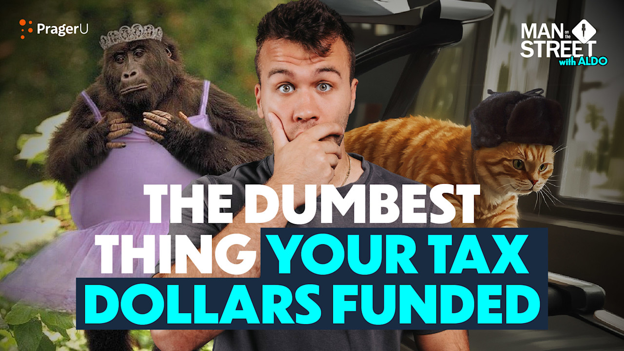 Your Tax Dollars at Work: Cats on Treadmills and Transgender Monkeys ...
