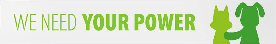 Über uns: zooplus stellt sich vor