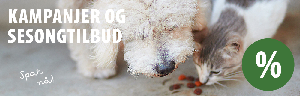 Benytt deg av zooplus rabatter og fordeler