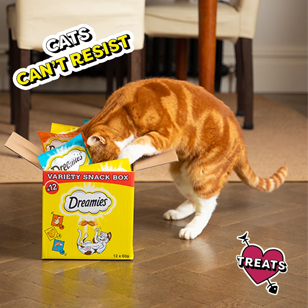 Dreamies Cat Treats | Order online now at zooplus!