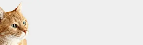 zooplus Rabatt | Extra-Rabatt bis zu 20% im zooplus-Shop