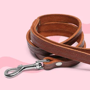 Erstausstattung Hund