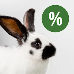 zooplus Rabatt | Extra-Rabatt bis zu 20% im zooplus-Shop
