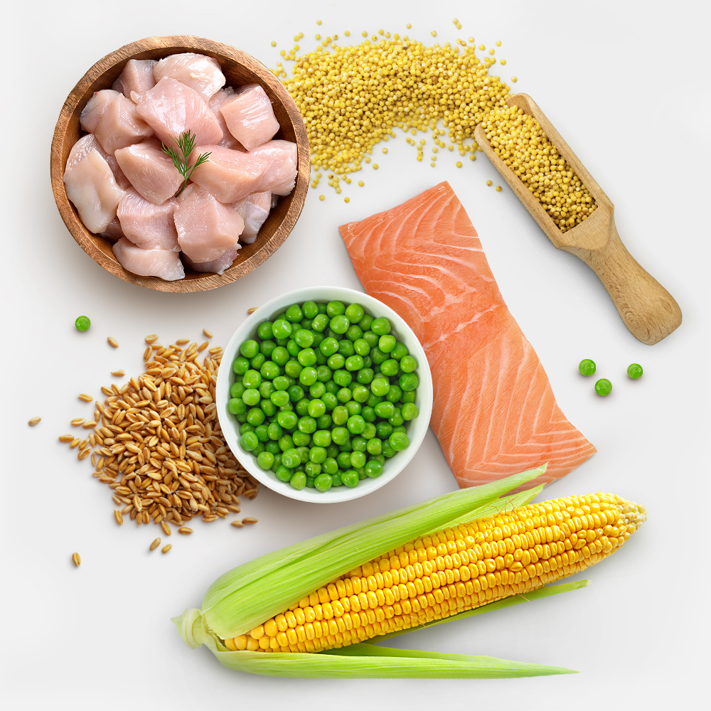 Храна за кучета Briantos - само в zooplus!