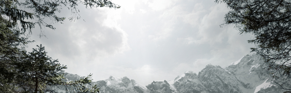 Wolf of Wilderness comida para perros sin cereales | zooplus