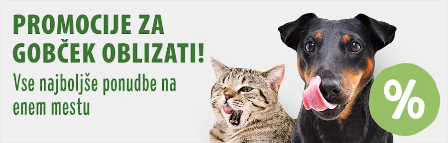 Vse ponudbe na enem mestu | zoohit