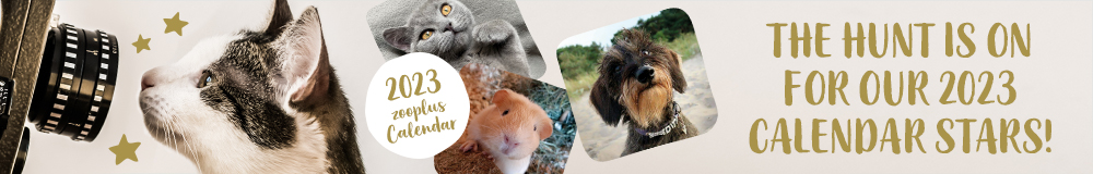 2023 Wall Calendar | zooplus UK