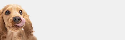 zooplus Rabatt | Extra-Rabatt bis zu 20% im zooplus-Shop