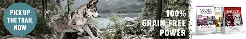 Wolf of Wilderness Wet Dog Food | Online at zooplus