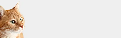 zooplus-rabat | Ekstra rabat på op til 20% i zooplus-shoppen