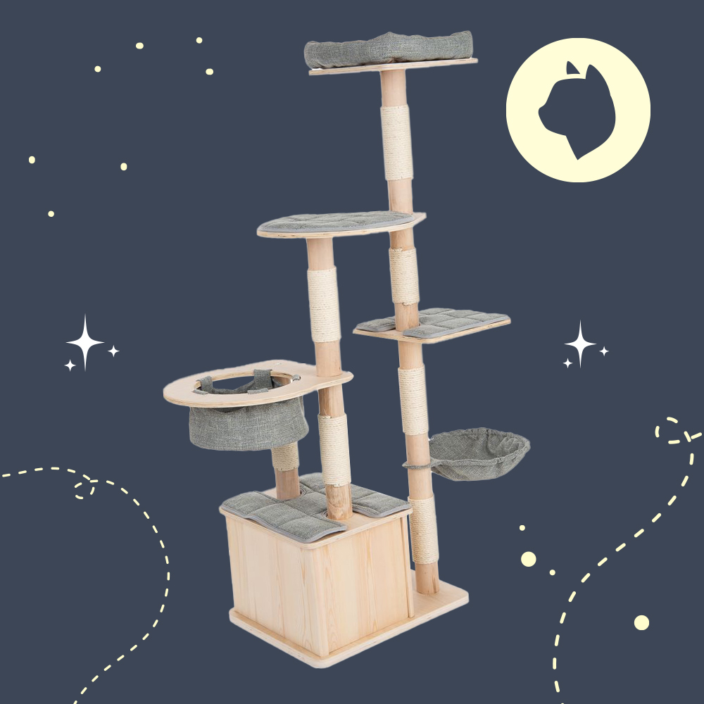 Accessoires et nourriture pour chat : pas cher | zooplus.be